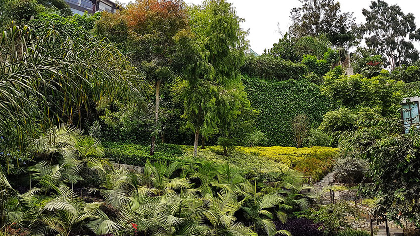 Oasis particular en Casuarinas Perú, 10 meses de ejecución
