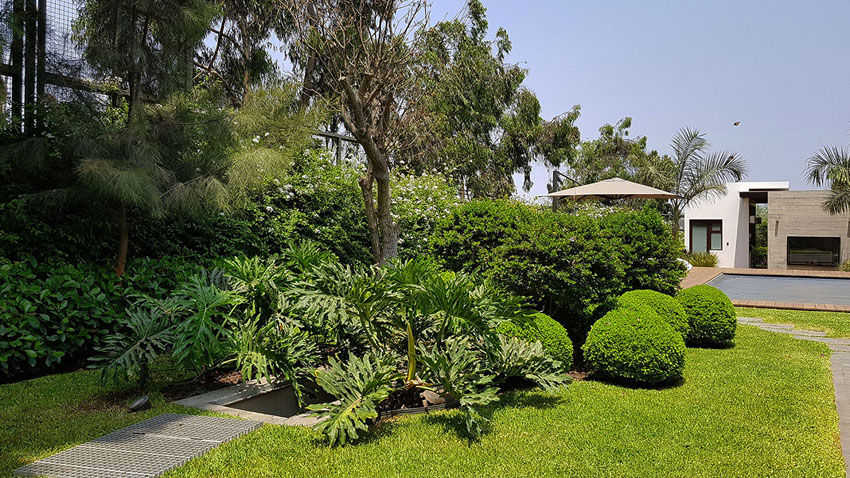 Oasis particular en Casuarinas Perú, 10 meses de ejecución