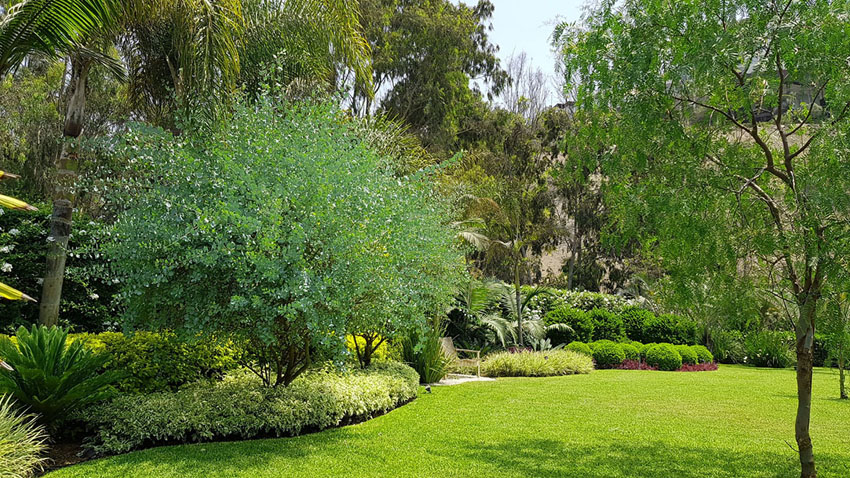 Oasis particular en Casuarinas Perú, 10 meses de ejecución
