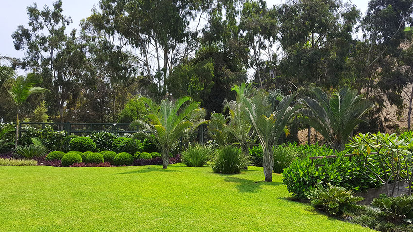 Oasis particular en Casuarinas Perú, 10 meses de ejecución